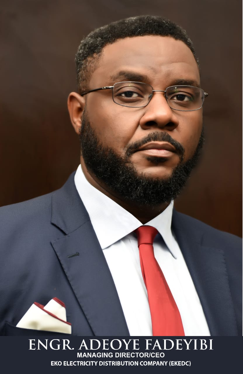 Eko Electricity Distribution Company | WEPs